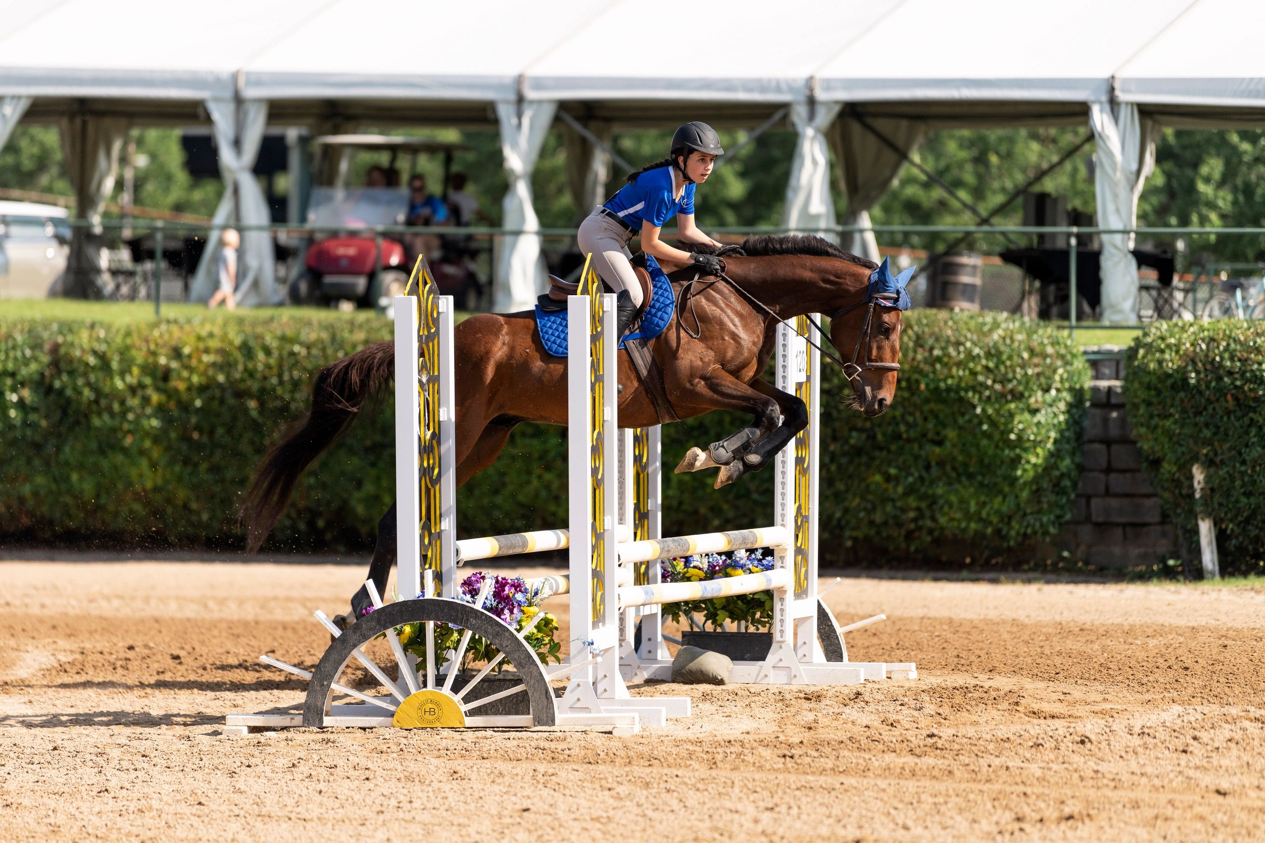 Tiffany McWhirter, Riding Lessons, Equestrian - Peachy Keen Equestrian - Douglasville, Georgia